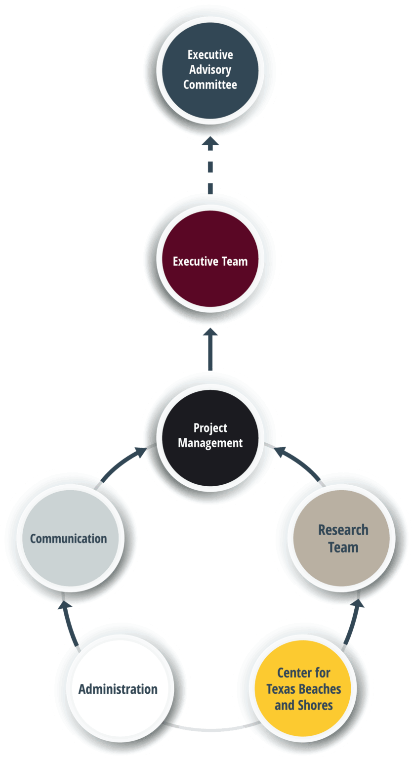 Organizational Structure - IDRT