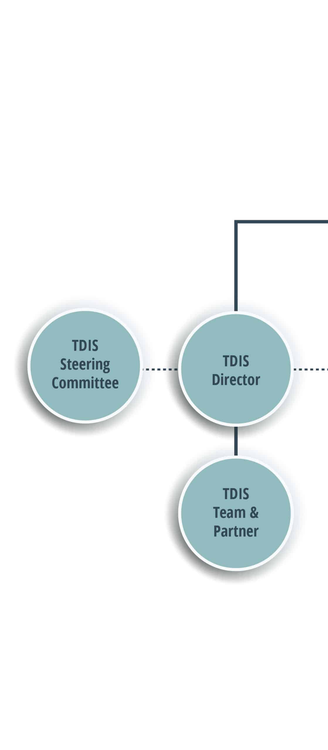 Organizational Structure - IDRT