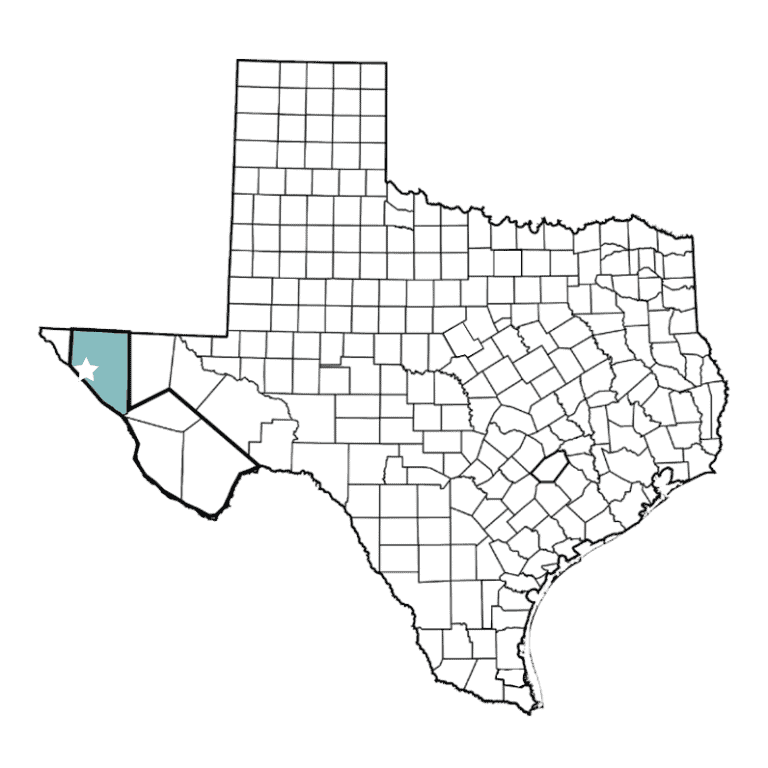 Hudspeth County - IDRT